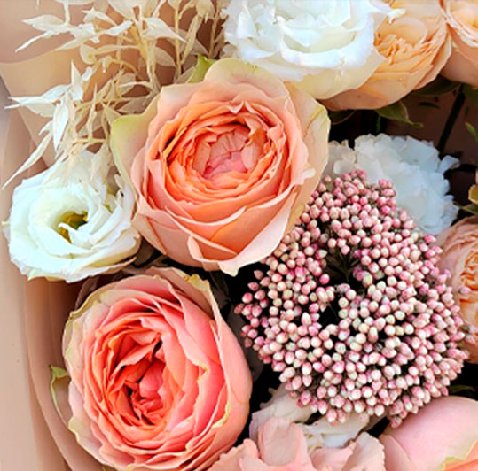 Flower Shop Philadelphia 🌻 Nov 2025